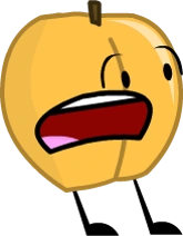 Melee of the Objects | Object Show Archive Wiki | Fandom