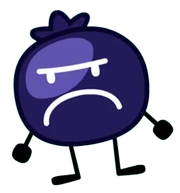 Blueberry | Object Show Characters Wiki | Fandom