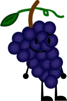 Grape (Random Object Battle Royal) | Object Show Characters Wiki | Fandom