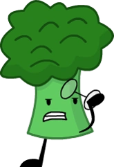 Broccoli (Melee of the Objects) | Object Show Characters Wiki | Fandom
