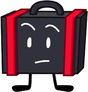 Suitcase/Gallery | Object Show: The Musical Wiki | Fandom