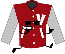 Varsity Jacket | Object Treachery Wiki | Fandom
