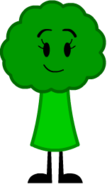 Broccoli | Object Trek Wiki | Fandom