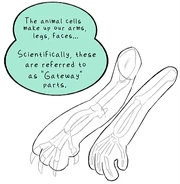 Object Biology | Objectified comic Wiki | Fandom