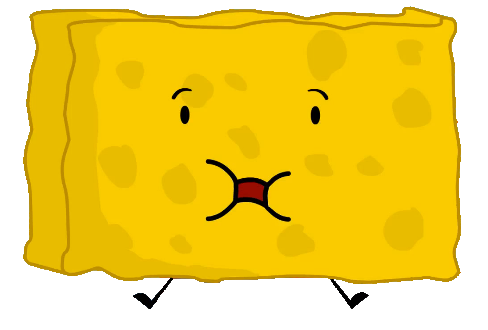 Bfdi Spongy