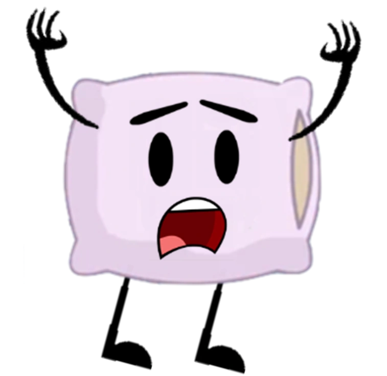 Pillow | Object-ion to lose Wiki | Fandom