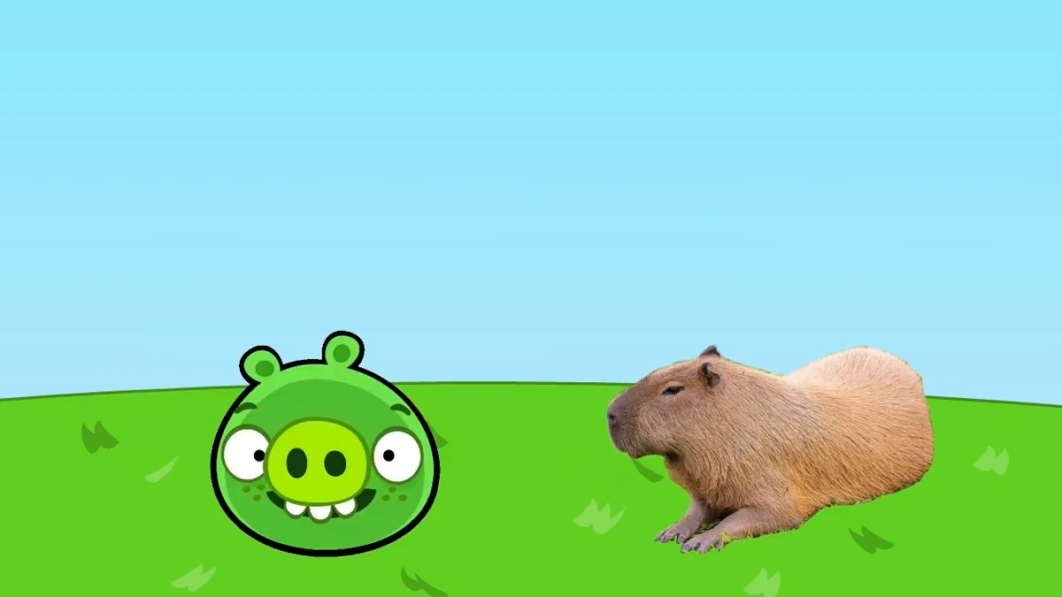 Capybara/Gallery | Object lame Wiki | Fandom
