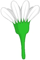 Character Bodies | Object Madness Wiki | Fandom