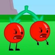 Cherry/Gallery | Overloadpedia, the Object Overload Wiki | Fandom