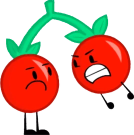 Cherry | Overloadpedia, the Object Overload Wiki | Fandom