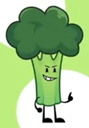 Broccoli | Object Planet Wiki | Fandom
