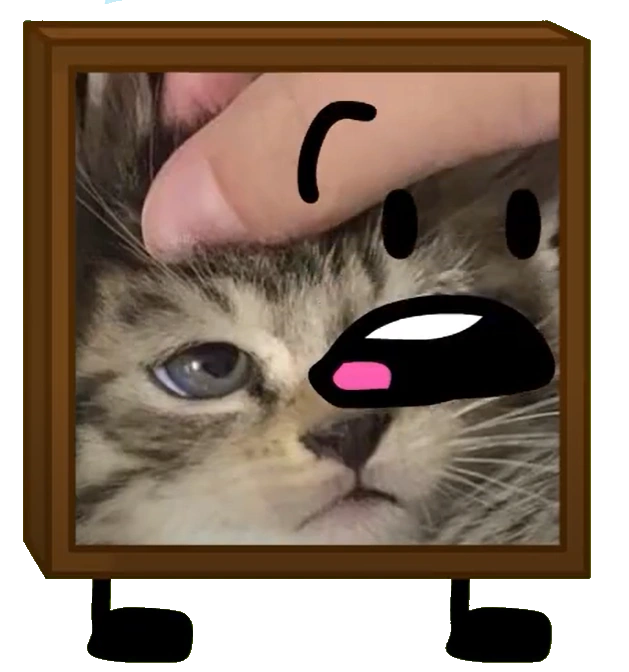 Cat Image | Objects Of Objectland Wiki | Fandom