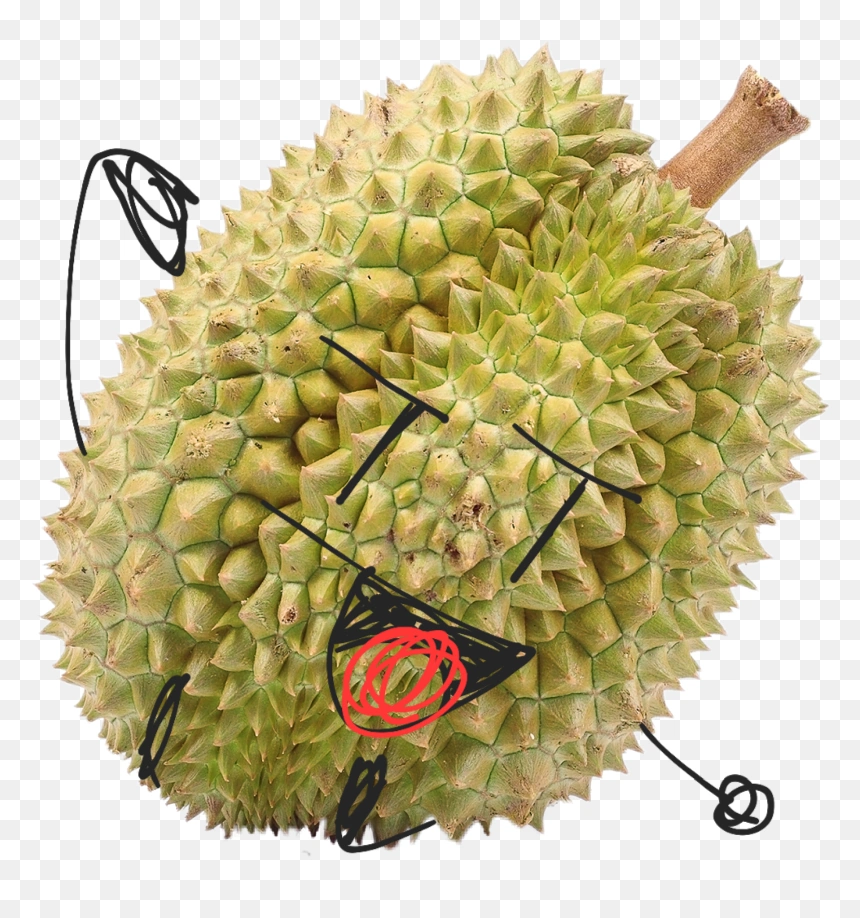 Durian | Objects of Suiki Wiki | Fandom