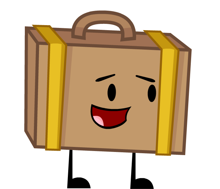Suitcase | ObjectUniverse Wiki | Fandom