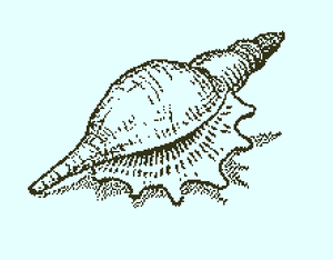 Shell | Return of the Obra Dinn Wiki | Fandom
