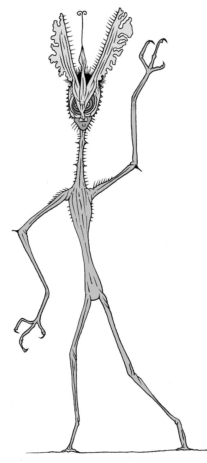 Veggieman | ObscUrban Legend Wikia | Fandom