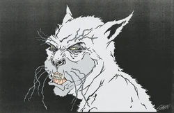 Wicomico Catman | ObscUrban Legend Wikia | Fandom