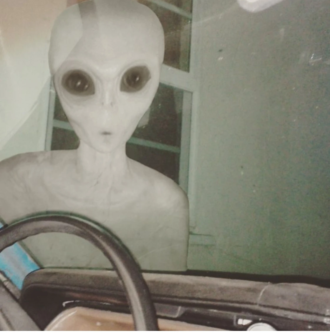 4chan Grey Alien | ObscUrban Legend Wikia | Fandom