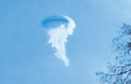 Sky Jellyfish | ObscUrban Legend Wikia | Fandom
