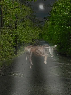 Ghost Cow | ObscUrban Legend Wikia | Fandom