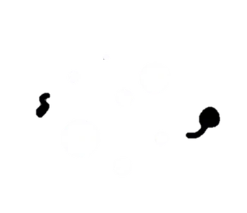 Circle | Obsolete Battle Show Wiki | Fandom