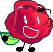 Rosey/Gallery | Obsolete Battle Show Wiki | Fandom