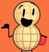 Peanut/Gallery | Obsolete Battle Show Wiki | Fandom