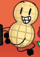 Peanut/Gallery | Obsolete Battle Show Wiki | Fandom