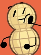 Peanut/Gallery | Obsolete Battle Show Wiki | Fandom