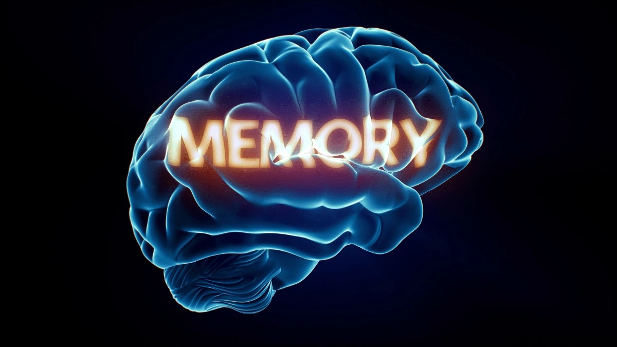 Memory Manipulation | OC Battlespace Wiki | Fandom