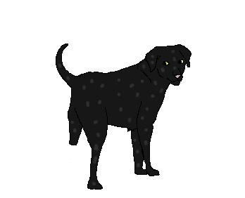 Deszcz | Oc Sfora Wiki | Fandom