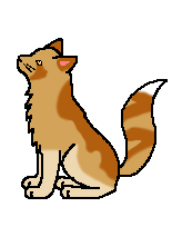 Maplefall | Oc Warriorclans Wiki | Fandom