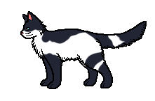 Crow | Oc Warriorclans Wiki | Fandom