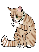 Namu | OC Wojownicy Wiki | Fandom