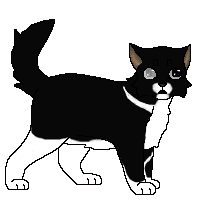 Florka | OC Wojownicy Wiki | Fandom