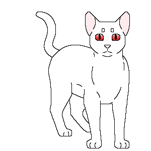 Jude | OC Wojownicy Wiki | Fandom