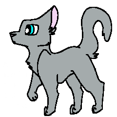 Serce Wilka | OC Wojownicy Wiki | Fandom