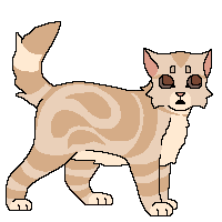 Ostrzyk | OC Wojownicy Wiki | Fandom