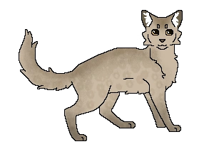 Nitka | OC Wojownicy Wiki | Fandom