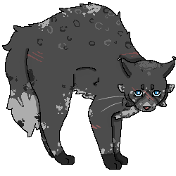 Proch | OC Wojownicy Wiki | Fandom