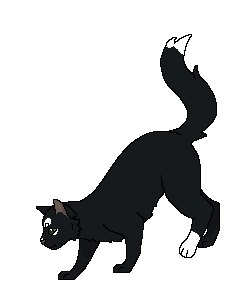 Szepcząca Smuga | OC Wojownicy Wiki | Fandom