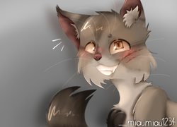 Kinito | OC Wojownicy Wiki | Fandom