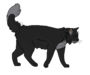 Namorzynowy Mamrot | OC Wojownicy Wiki | Fandom