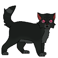 Lilek | OC Wojownicy Wiki | Fandom