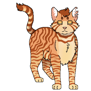 Narcyzowy Jad | OC Wojownicy Wiki | Fandom