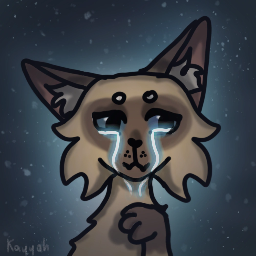 Pusia 2 | OC Wojownicy Wiki | Fandom