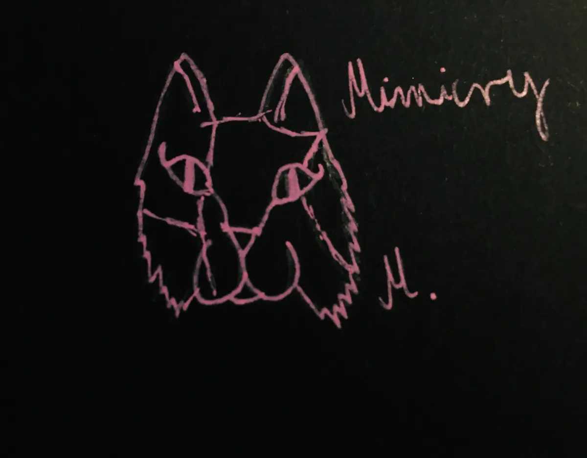 Mimka | OC Wojownicy Wiki | Fandom