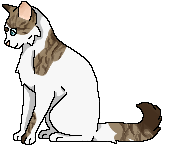 Wydra | OC Wojownicy Wiki | Fandom