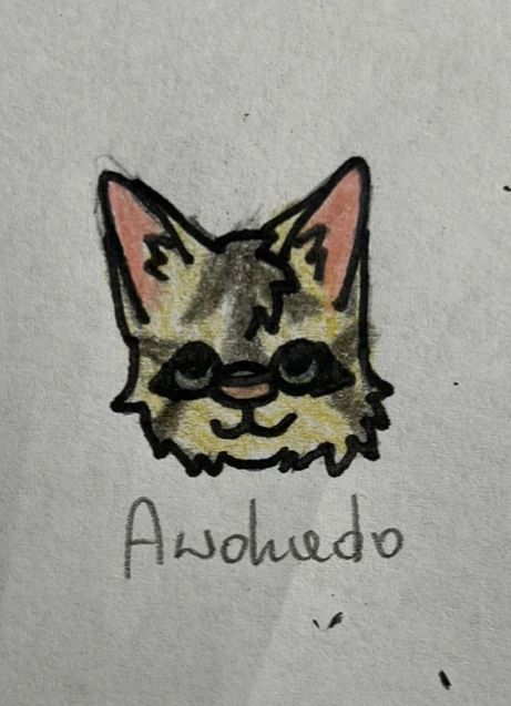 Awokado | OC Wojownicy Wiki | Fandom