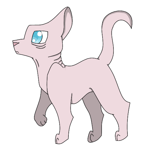 Zara | OC Wojownicy Wiki | Fandom